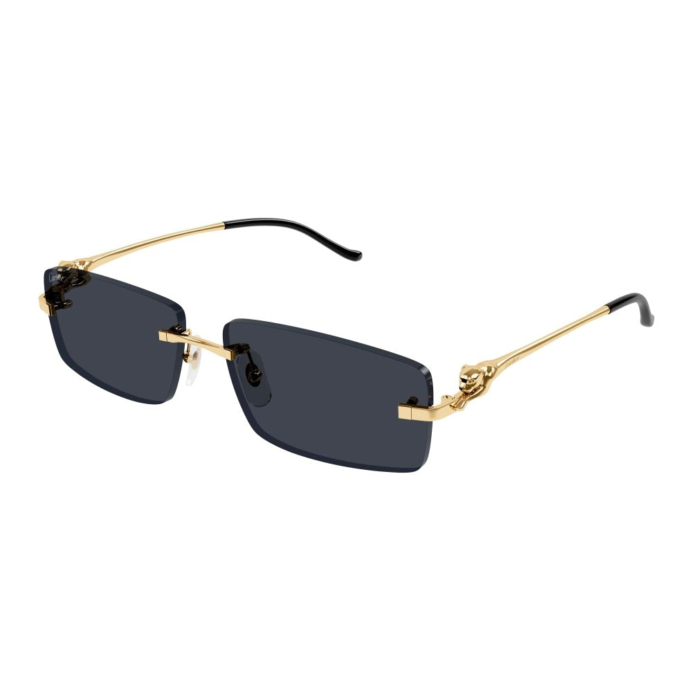 CT0430S – Icons Miami Eyewear