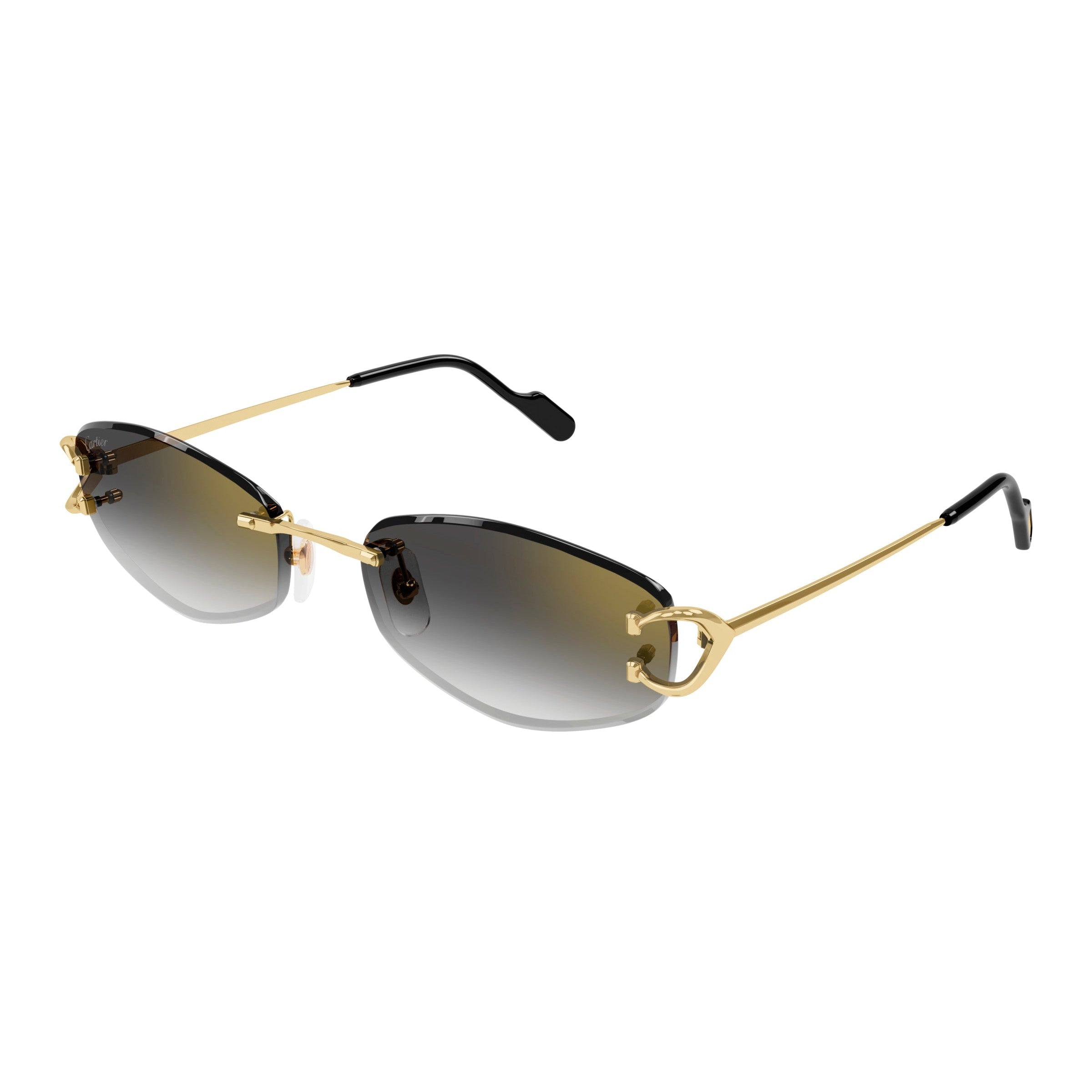 CT0467S – Icons Miami Eyewear