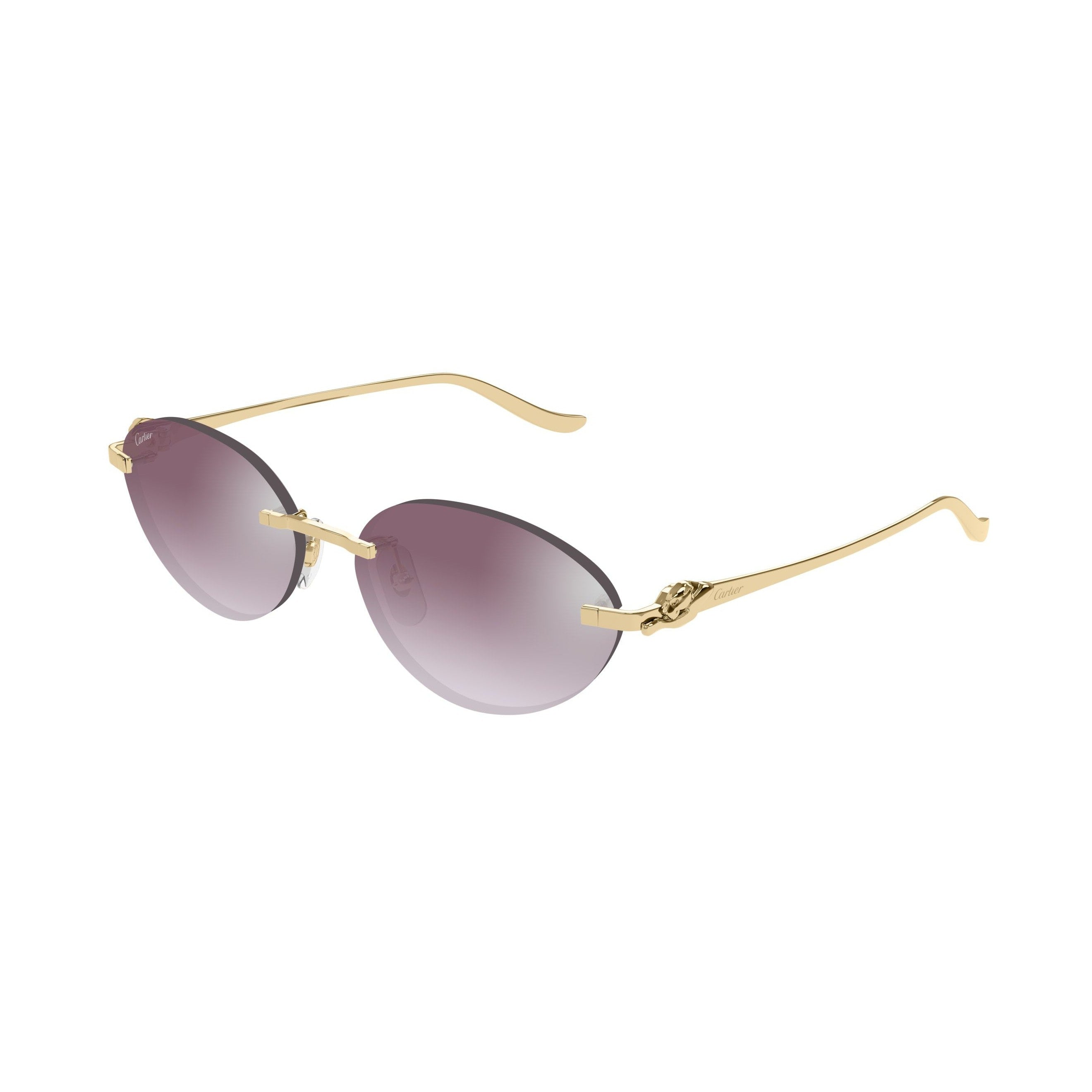CT0504S – Icons Miami Eyewear