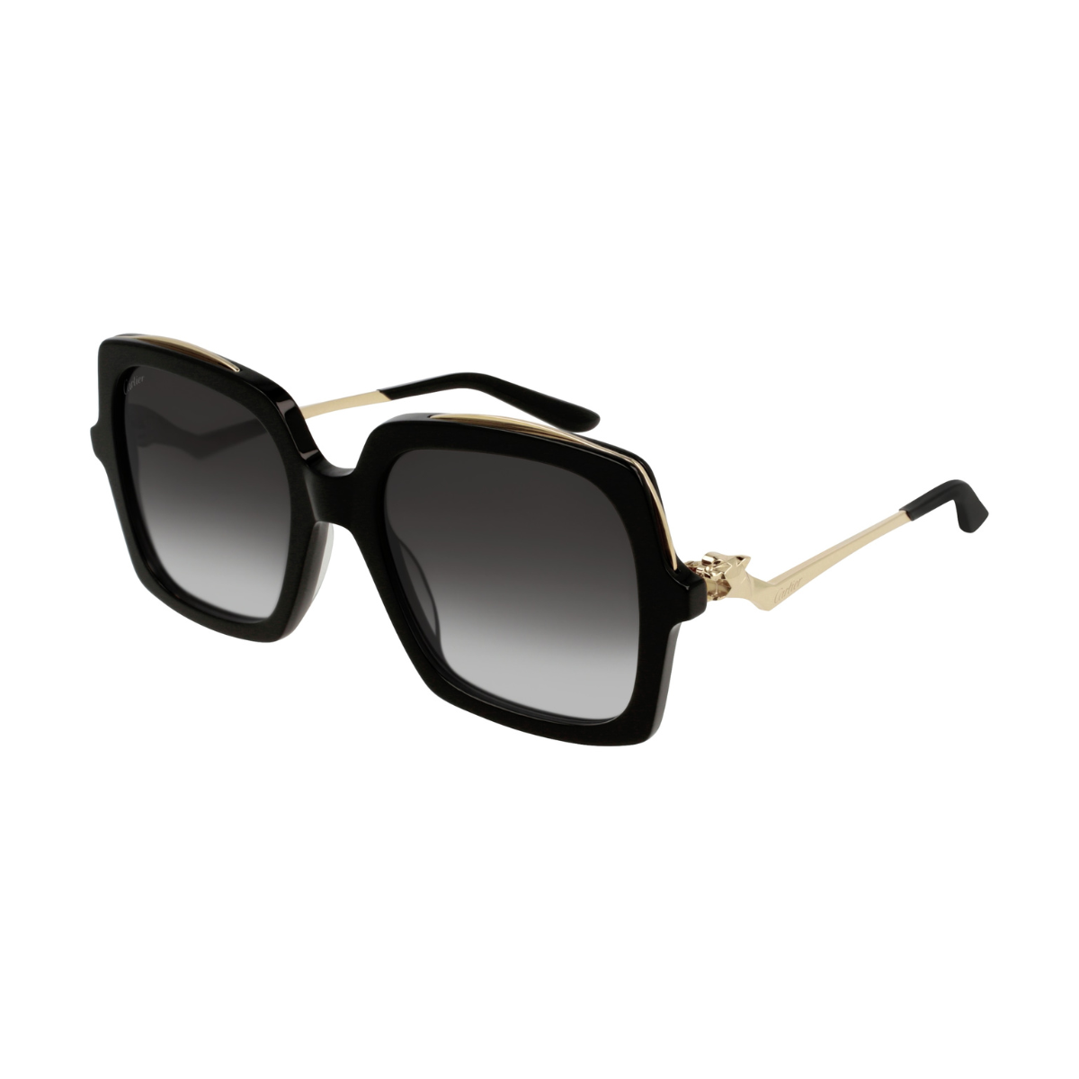 CT0117S – Icons Miami Eyewear