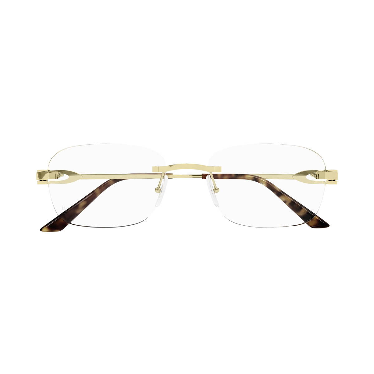 CT0290O – Icons Miami Eyewear